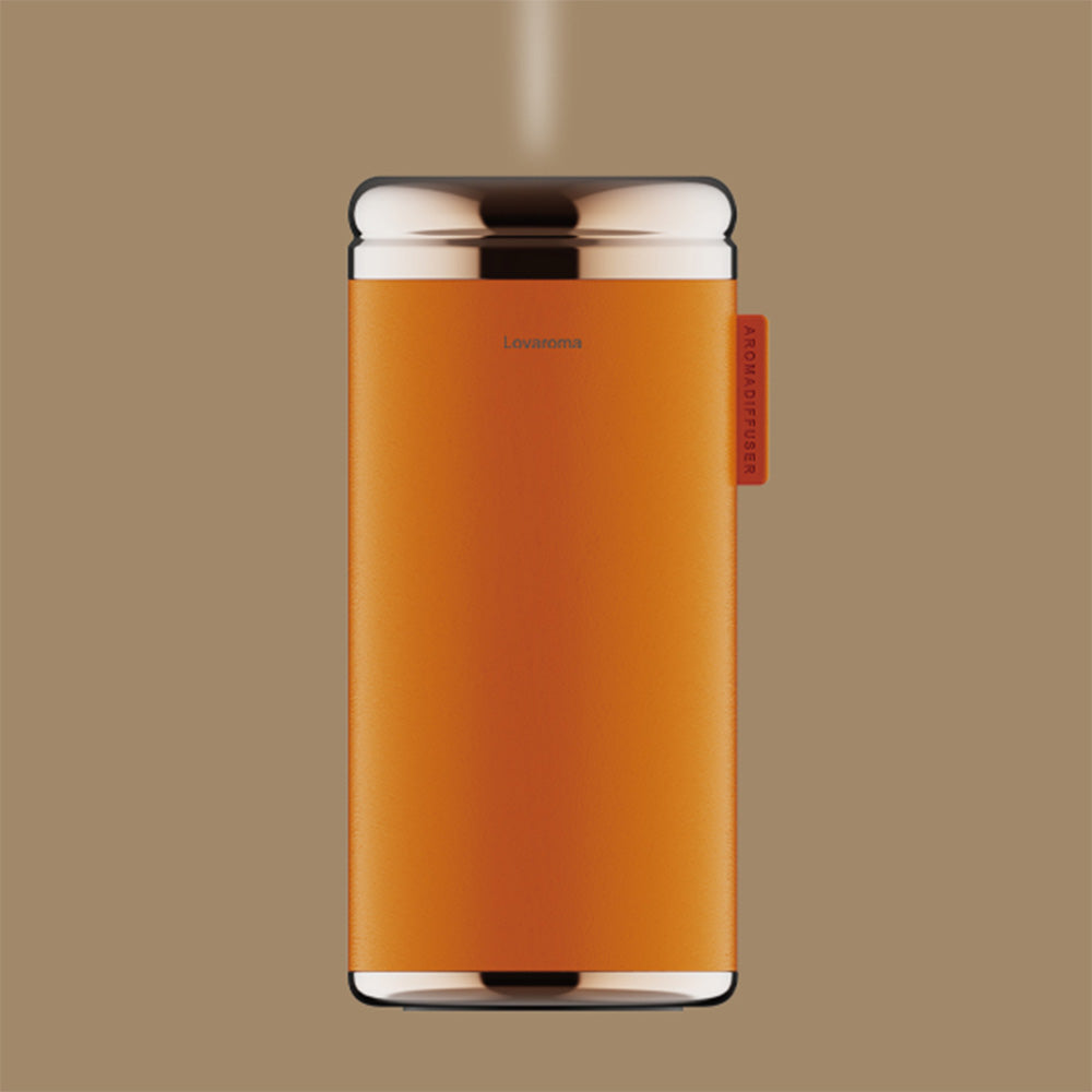 Core Diffuser Mini – Lovaroma